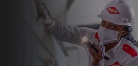 Noetic Brands | Design-Led Product Studio Crafting the Future of Digital